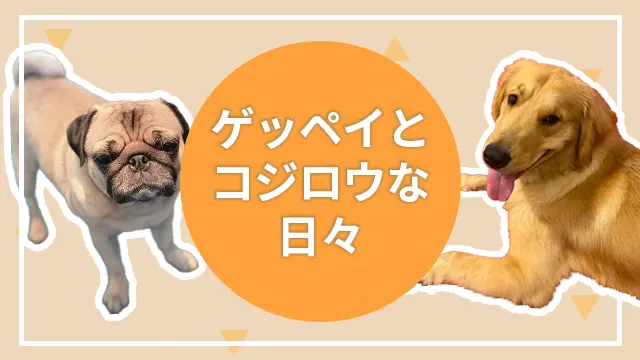 帝都ピクチャーズ